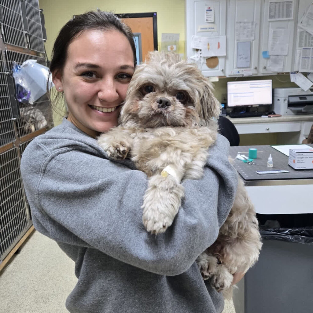 Meet the Team at North Star Veterinary Hospital | Caring Pet Care