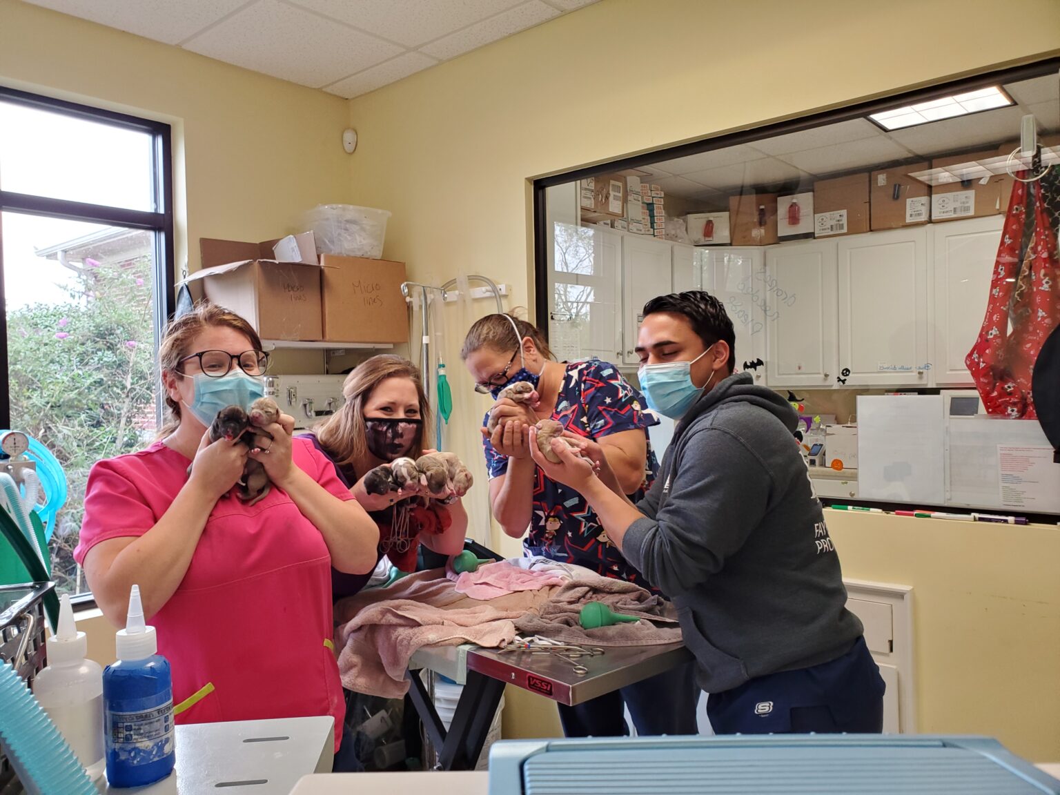 Photos - North Star Veterinary Hospital